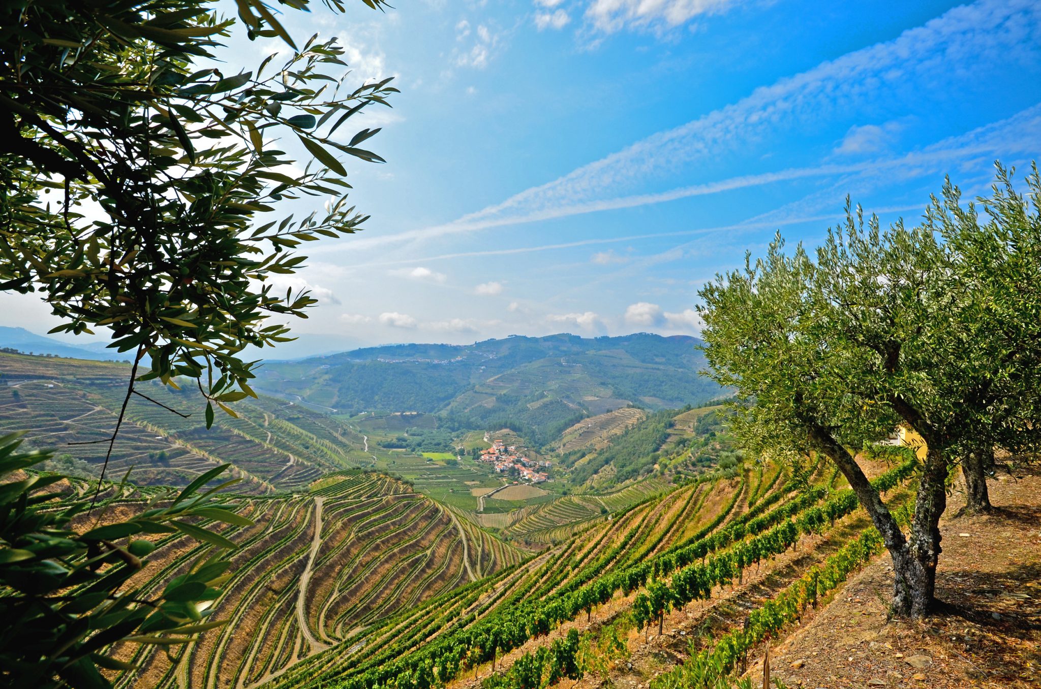 Scenic Delightful Douro | Douro River Cruise